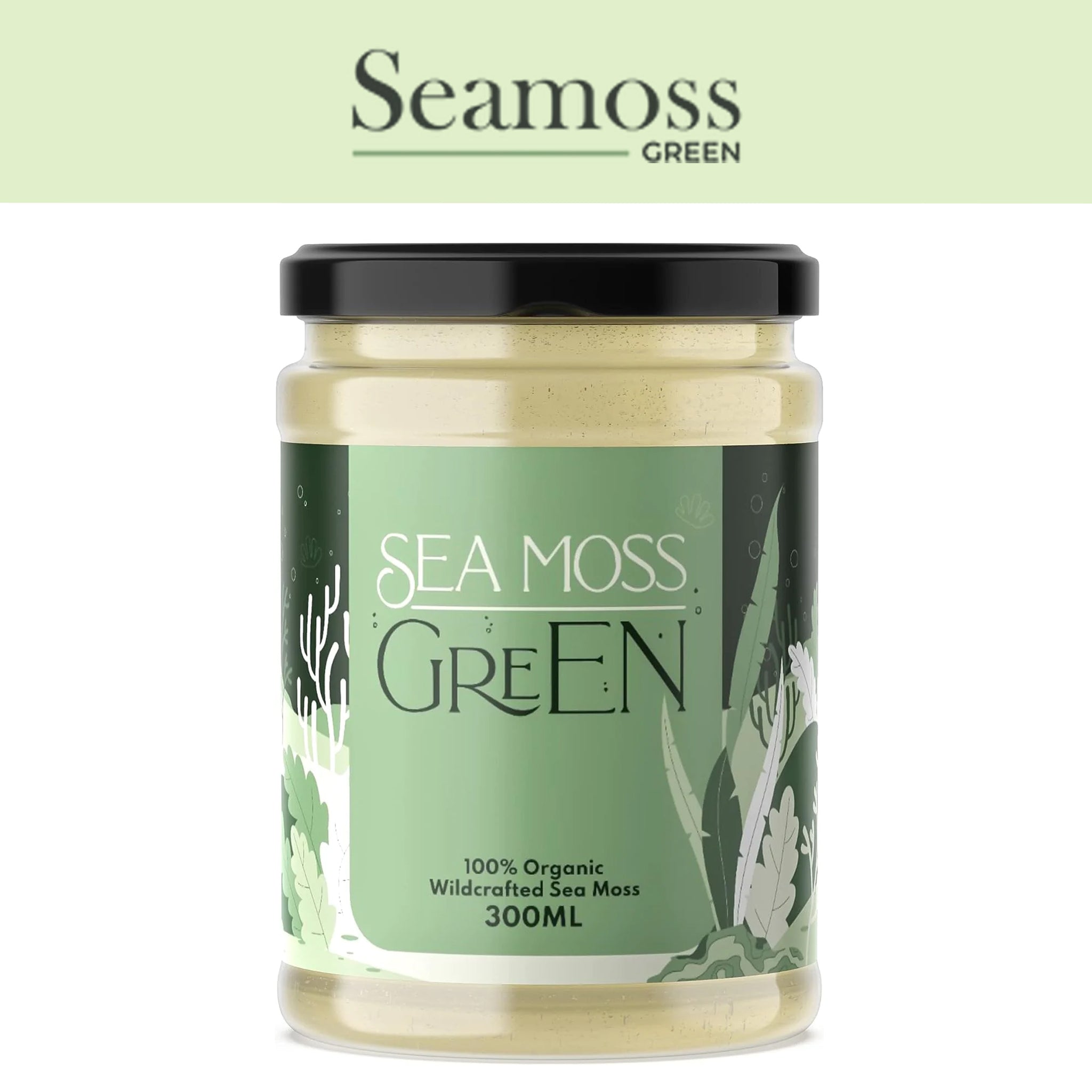 Sea Moss Gel , SeamossGreen